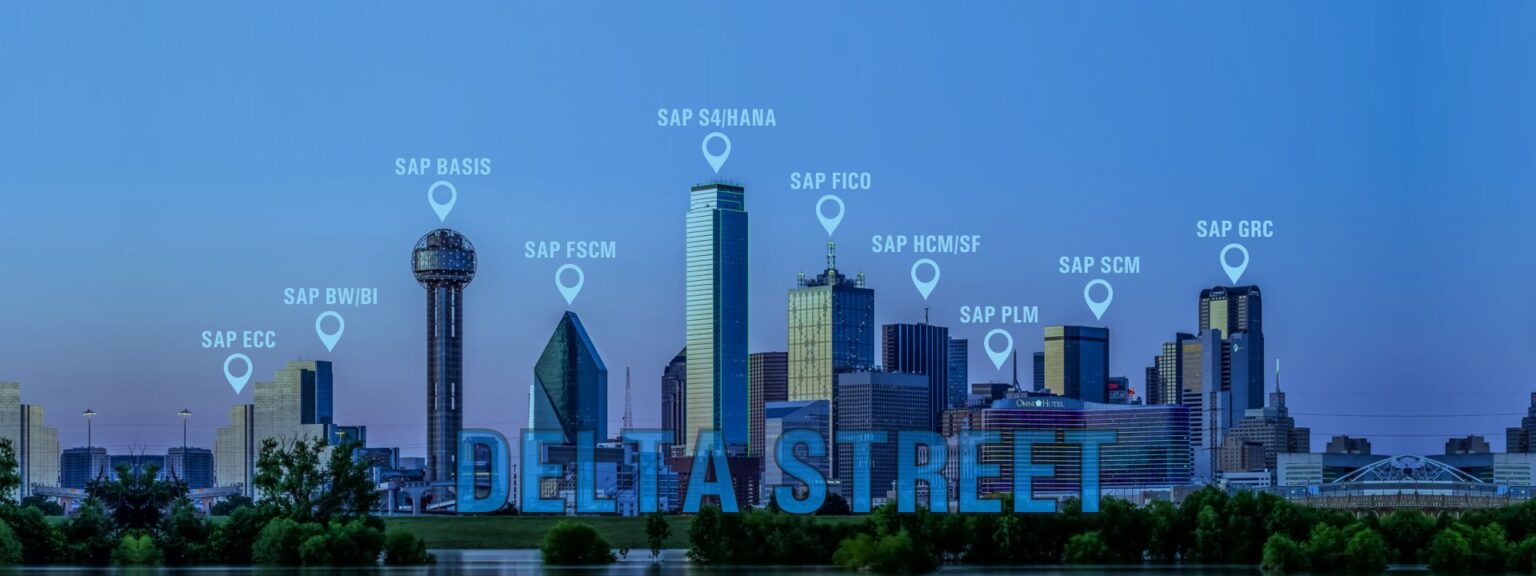 SAP Managed Services - Delta System & Software, Inc